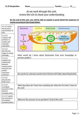 Cellular Respiration Information Booklet | Teaching Resources