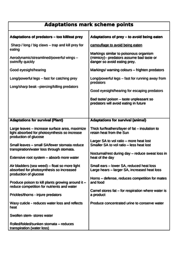 KS4 AQA B7 Adaptations full lesson | Teaching Resources