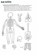 BTEC Level 3 HSC - Unit 3 Anatomy and Physiology Revision activities, games and summary sheets ...