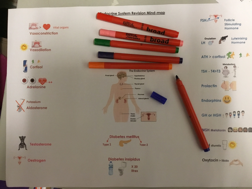 BTEC Level 3 HSC - Unit 3 Anatomy and Physiology Revision activities, games and summary sheets ...