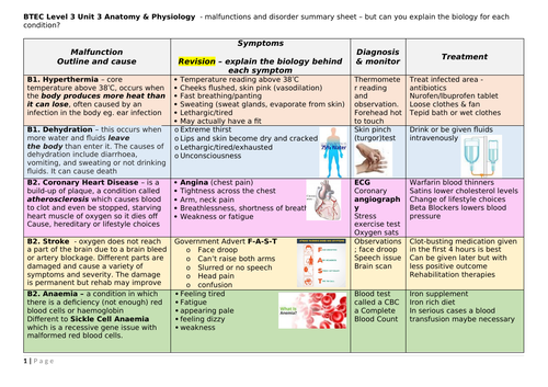 BTEC Level 3 HSC - Unit 3 Anatomy and Physiology Revision activities, games and summary sheets ...