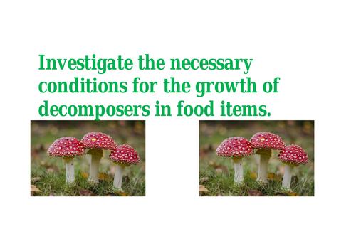 Investigate the growth of decomposers in given food item. | Teaching ...