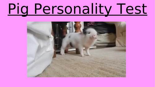 Draw the Pig Personality Test (ICEBREAKER) | Teaching Resources