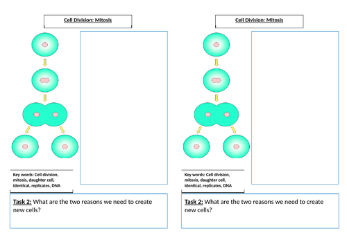 AQA GCSE BIOLOGY B1.2 Cell Division | Teaching Resources