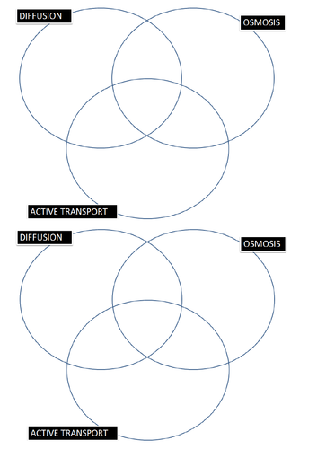 AQA GCSE BIOLOGY B1.3 Transport across cell membranes | Teaching Resources