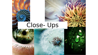 Close up Natural Form SOW | Teaching Resources