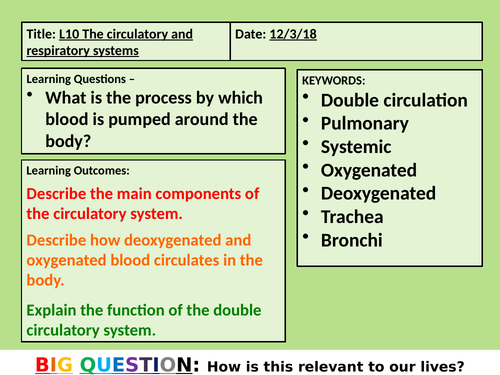 AQA GCSE BIOLOGY B2.2 Circulatory system | Teaching Resources
