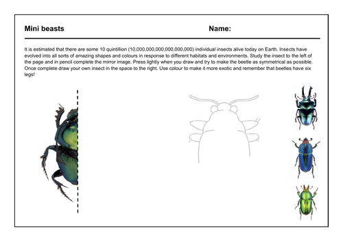 Art cover work / cover lesson - Mini beasts - 1hr activity | Teaching ...