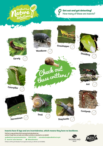 Science - Living things and their habitats - unit of work Year 3 and 4 ...