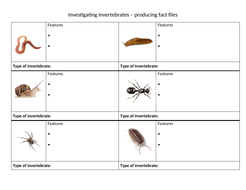 Living things and their habitats -Classification (grouping of ...