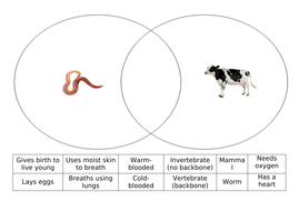 Living things and their habitats -Classification (grouping of ...