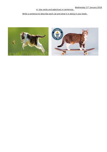 Non chronological reports - pets resources - writing and grammar - Year ...