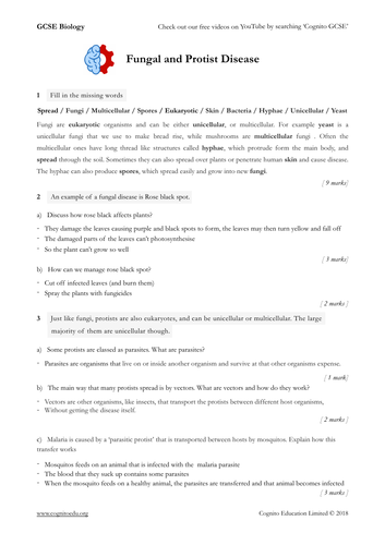 GCSE Biology (9-1) - Fungal and Protist Disease - Worksheet | Teaching ...