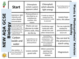NEW AQA GCSE Biology 'Plants & Photosynthesis' - Dominoes Revision ...