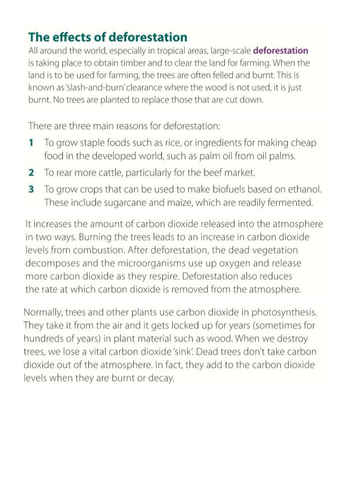 2018 Iceland banned Christmas advert. Deforestation and Peat ...