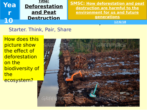 2018 Iceland banned Christmas advert. Deforestation and Peat ...