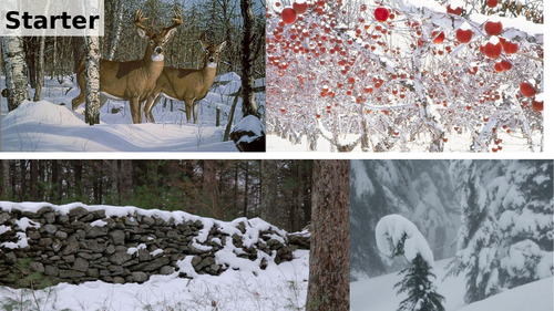 Poetry analysis skills lesson - The Buck in the Snow | Teaching Resources