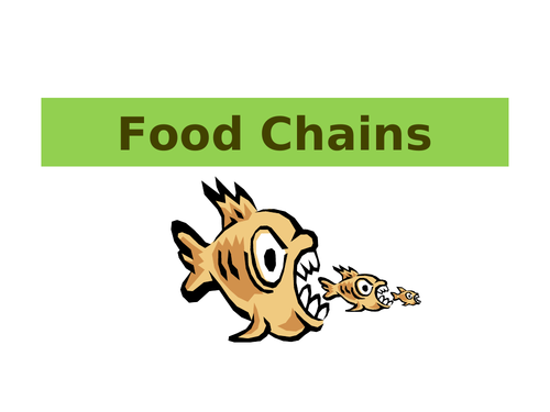 Food Chains - Worksheet + PowerPoint | Teaching Resources
