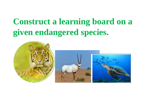 Design a learning board on endangered species | Teaching Resources