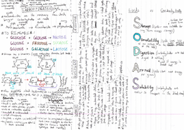 AQA biology a level biological molecules summary sheets | Teaching ...