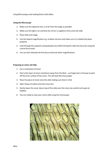 Ten KS3 biology practicals that make learning fun and engaging ...