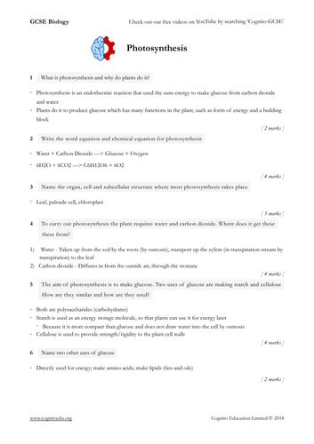 GCSE Biology (9-1) - Photosynthesis - Worksheet and Video | Teaching ...