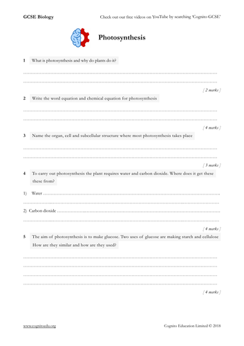 GCSE Biology (9-1) - Photosynthesis - Worksheet and Video | Teaching ...