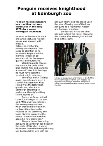 Two Christmas themed newspaper article | Teaching Resources