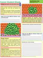 KS4 AQA Biology (Science) Cancer Lesson & Activities | Teaching Resources