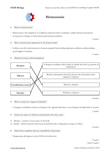 GCSE Biology (9-1) - Homeostasis - Worksheet and Video | Teaching Resources