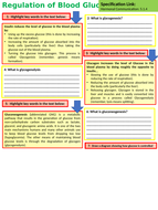 A Level Biology: Regulation of Blood Glucose Lesson & Activities ...