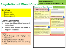 A Level Biology: Regulation of Blood Glucose Lesson & Activities ...
