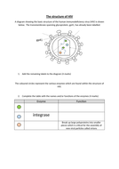 AQA A-level Biology Topic 2 REVISION (Cells) | Teaching Resources