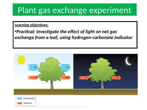 IGCSE Edexcel Biology (9-1) Topic 6: Gas exchange in plants | Teaching ... IGCSE Edexcel Biology (9-1) Topic 6: Gas exchange in plants | Teaching ...