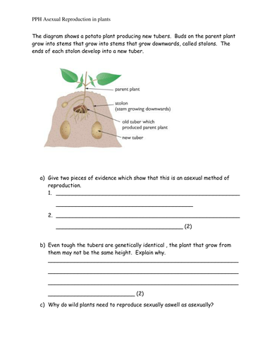 IGCSE Edexcel Biology (9-1) Topic 13: Plant reproduction | Teaching ... IGCSE Edexcel Biology (9-1) Topic 13: Plant reproduction | Teaching ...