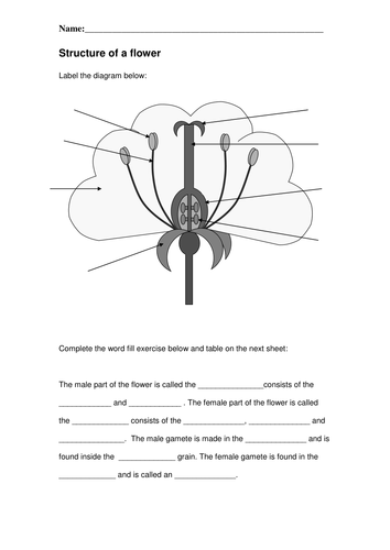 IGCSE Edexcel Biology (9-1) Topic 13: Plant reproduction | Teaching ... IGCSE Edexcel Biology (9-1) Topic 13: Plant reproduction | Teaching ...