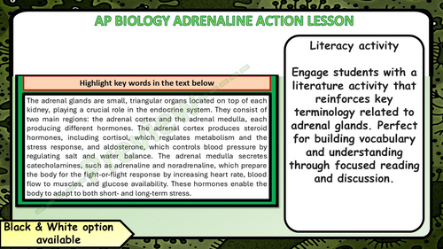 A Level Biology: Adrenaline Action Lesson & Activities | Teaching Resources