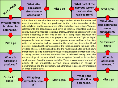 A Level Biology: Adrenaline Action Lesson & Activities | Teaching Resources