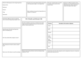 Revision Mat: Activate 2 - Health and lifestyle | Teaching Resources