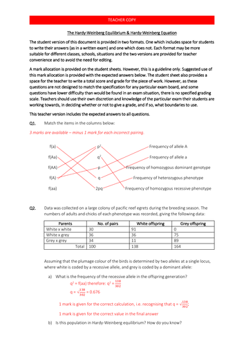 Questions involving the Hardy-Weinberg equilibrium | Teaching Resources