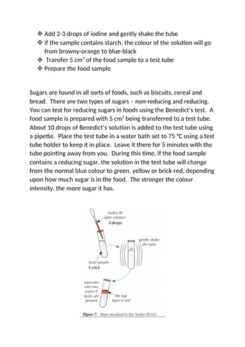 Food Tests (AQA 9-1 Required Practical 4) | Teaching Resources Food Tests (AQA 9-1 Required Practical 4) | Teaching Resources