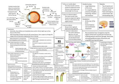 Aqa Gcse Biology 9 1 B5 Triple Science Revision Summary Sheets