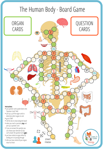 Human Body - Board Game (KS3/4) | Teaching Resources