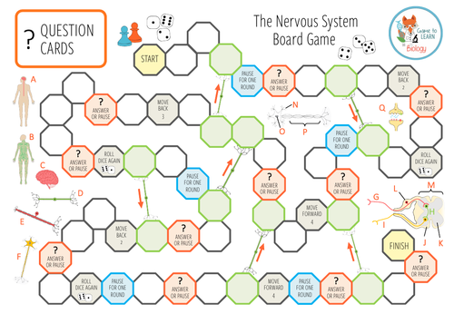 Nervous System - Board Game (KS3/4) | Teaching Resources