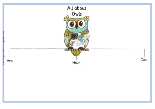 All about Owls worksheet | Teaching Resources