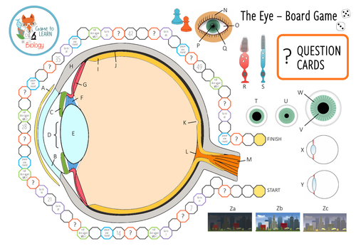 The Eye - Board Game (KS3/4) | Teaching Resources