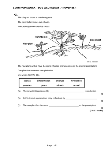 2018 AQA GCSE Biology Unit 2 (B2): Asexual and Sexual Reproduction ...