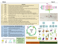 Plants Knowledge Organiser | Teaching Resources