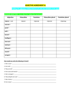 Adjective Agreement in French | Teaching Resources