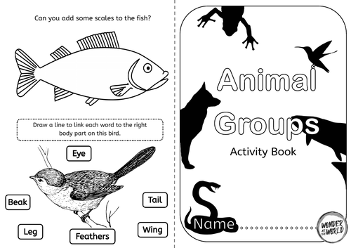 Animal Classification PowerPoint and Activities KS1 | Teaching Resources